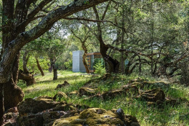 Off Grid 2 Floor Backyard Home Office Design - Tiny House Universe