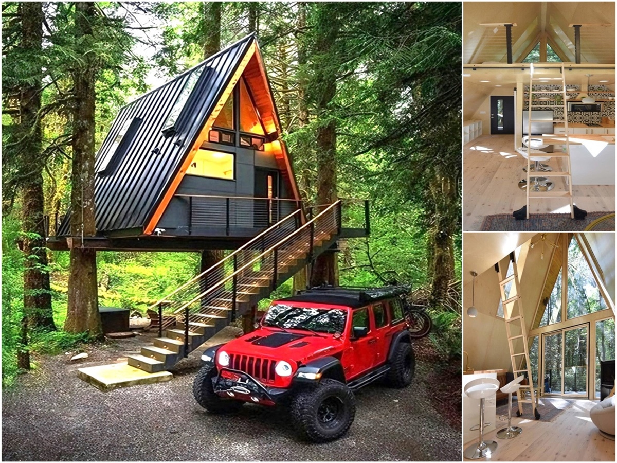Modern Tree House Examples: Natural Luxury Life - Tiny House Universe